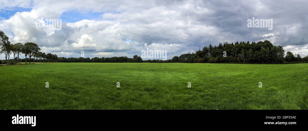 Northern European Plain