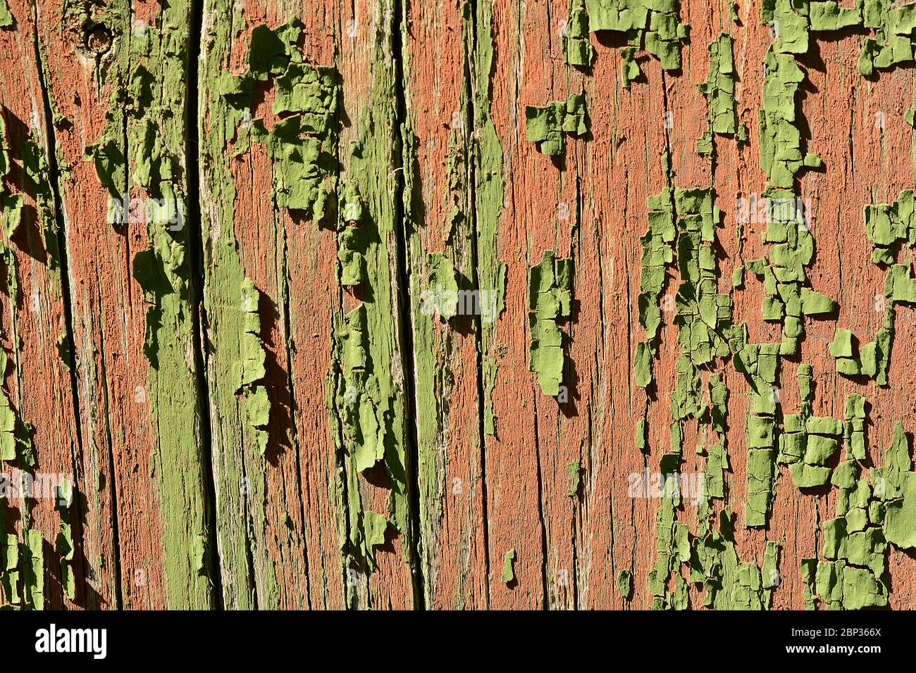 Natural green wood texture with an array of knots and ring lines Stock ...