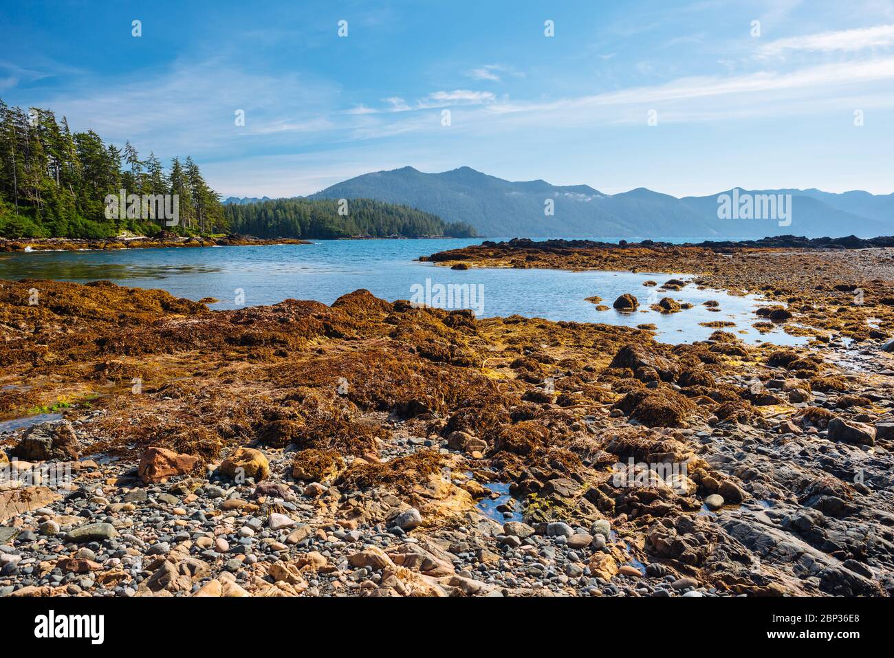 Haida gwaii hi-res stock photography and images - Alamy