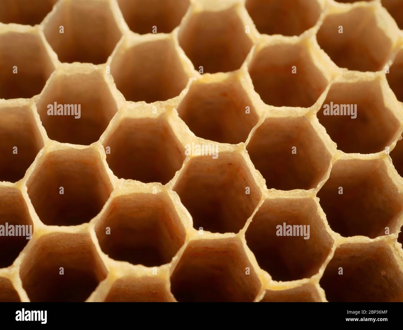 Hexagonal prismatic wax cells hi-res stock photography and images - Alamy