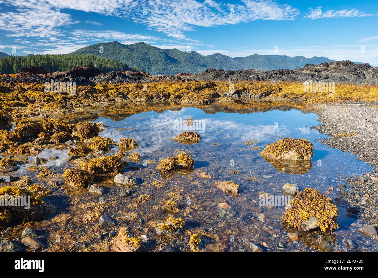 Rennell islands hi-res stock photography and images - Alamy