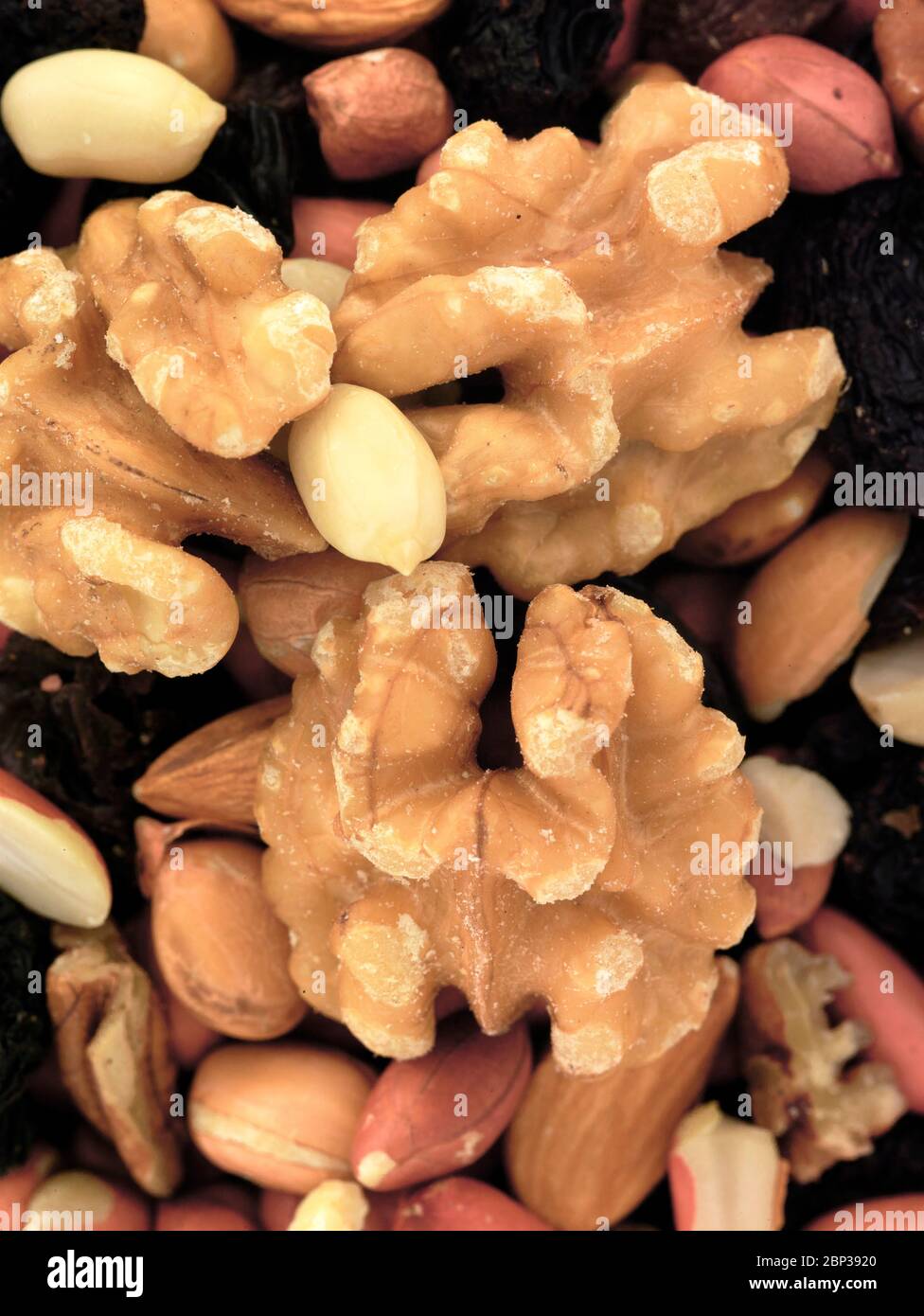Close up still-life food portrait of walnut Stock Photo - Alamy