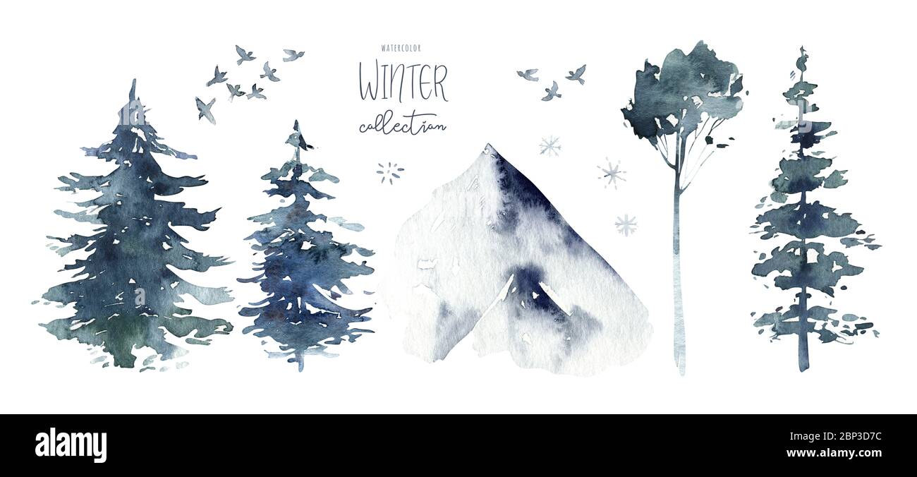 Winter Pine Trees Drawing