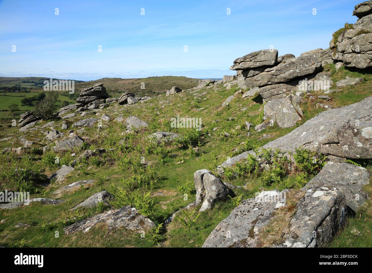 Hound Tor, Dartmoor National park, Devon, England, UK Stock Photo - Alamy
