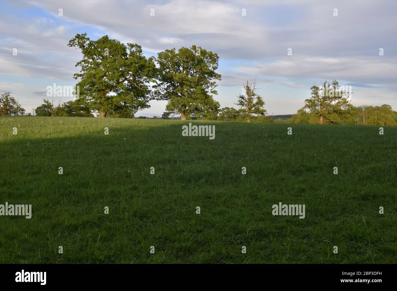 Somerset countryside around Frome Stock Photo - Alamy