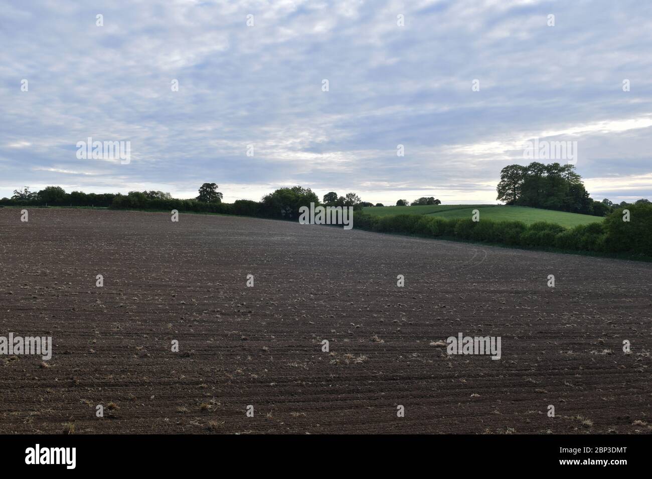 Somerset england countryside hi-res stock photography and images - Alamy