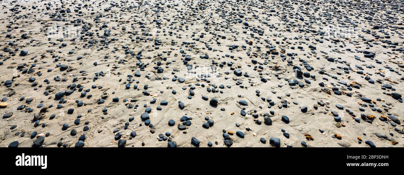 Small black stones and shells scattered on beach, banner image Stock ...