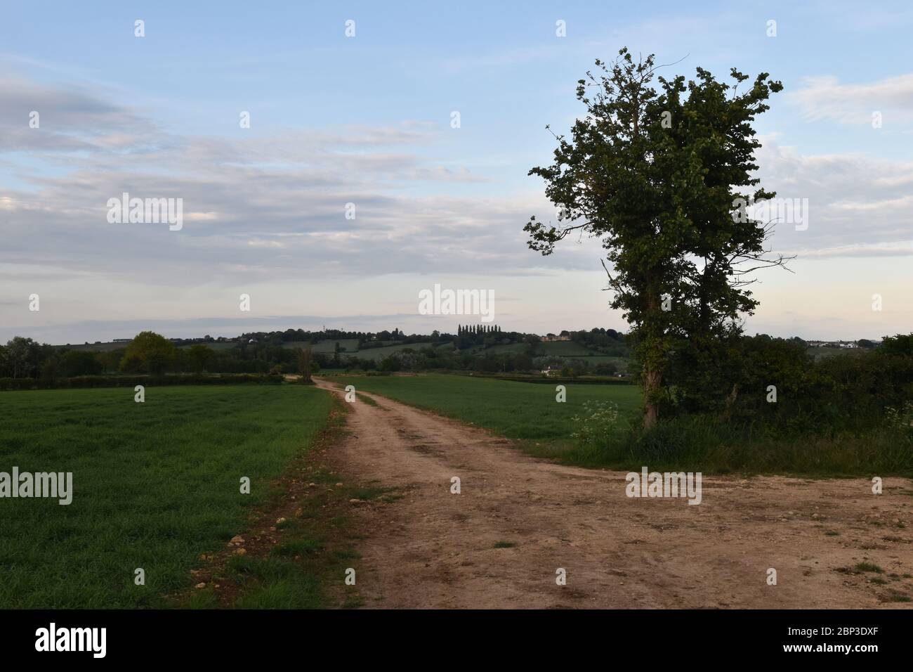 Somerset england countryside hi-res stock photography and images - Alamy