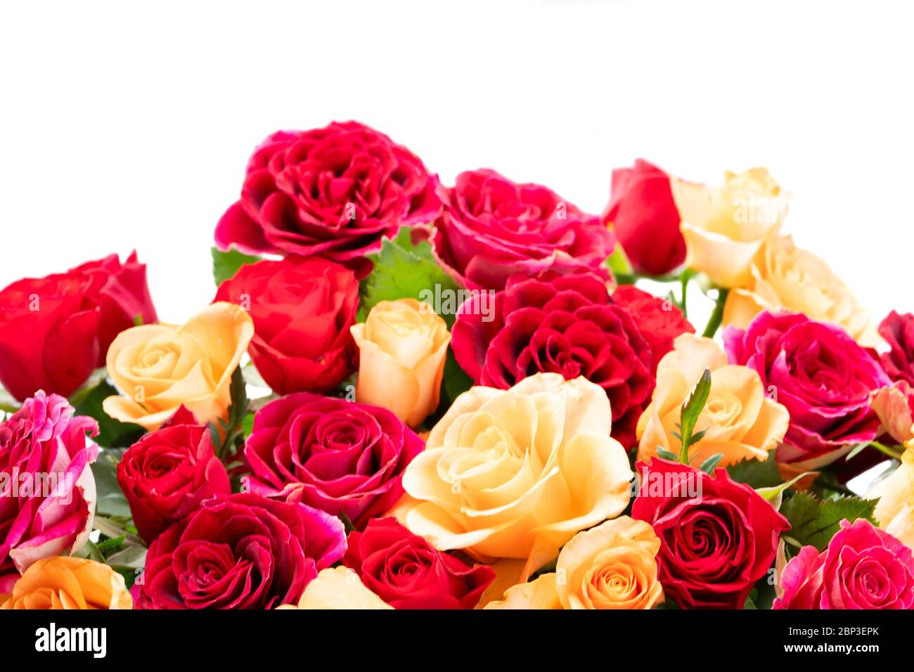 orange and red roses Stock Photo - Alamy