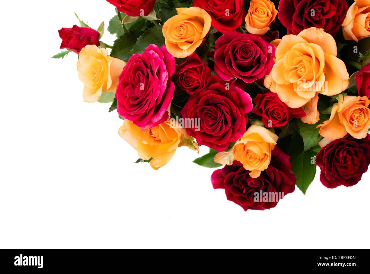 orange and red roses Stock Photo - Alamy