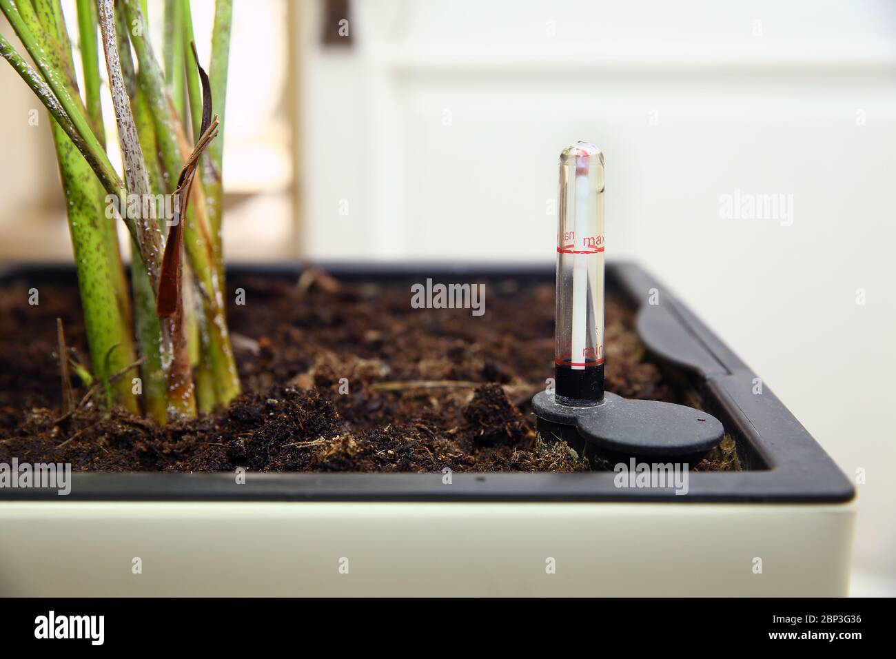 Flower pot water level indicator hi-res stock photography and images ...