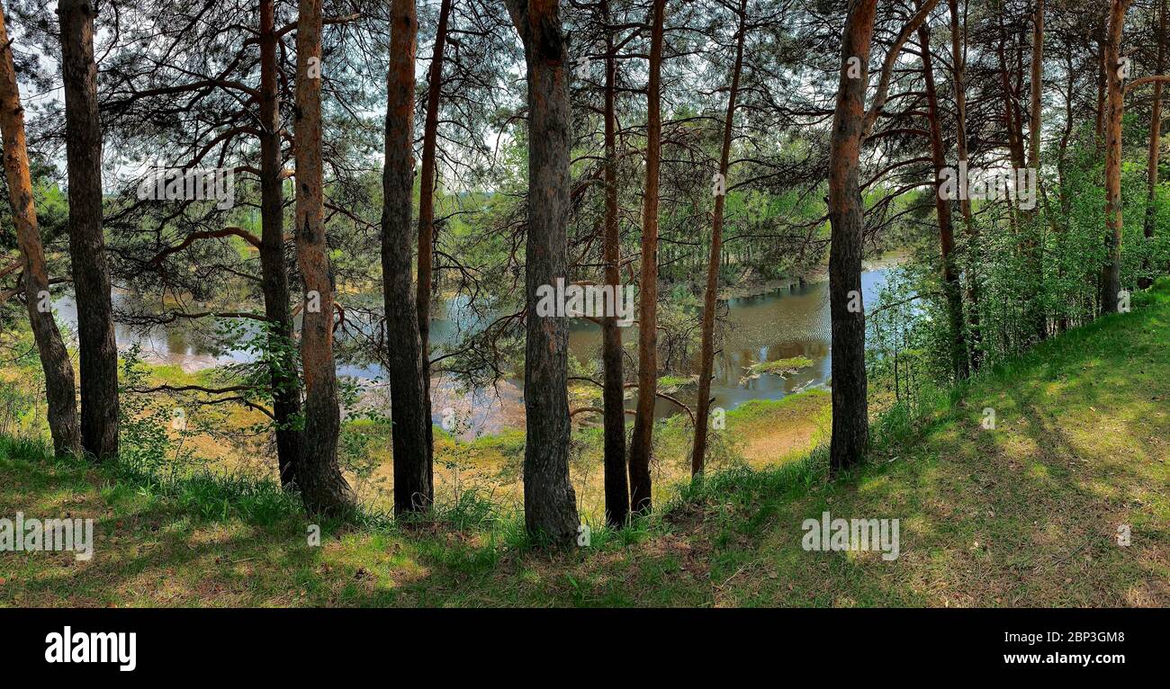 Siberia russia taiga hi-res stock photography and images - Alamy