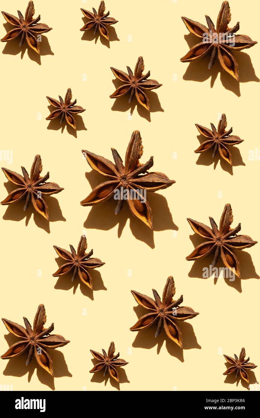 Fourteen anis stars of different sizes with sunny shadows create ...