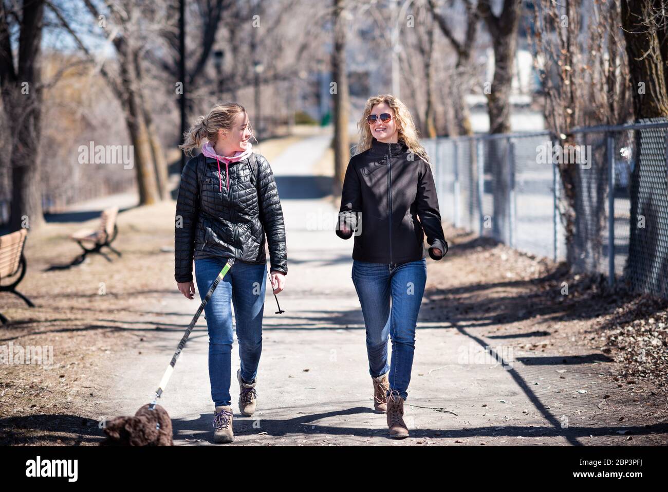 Women walking with dog at park hi-res stock photography and images - Alamy