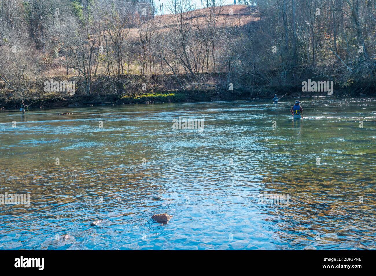 Three adults together enjoying fly fishing in the river on a bright ...