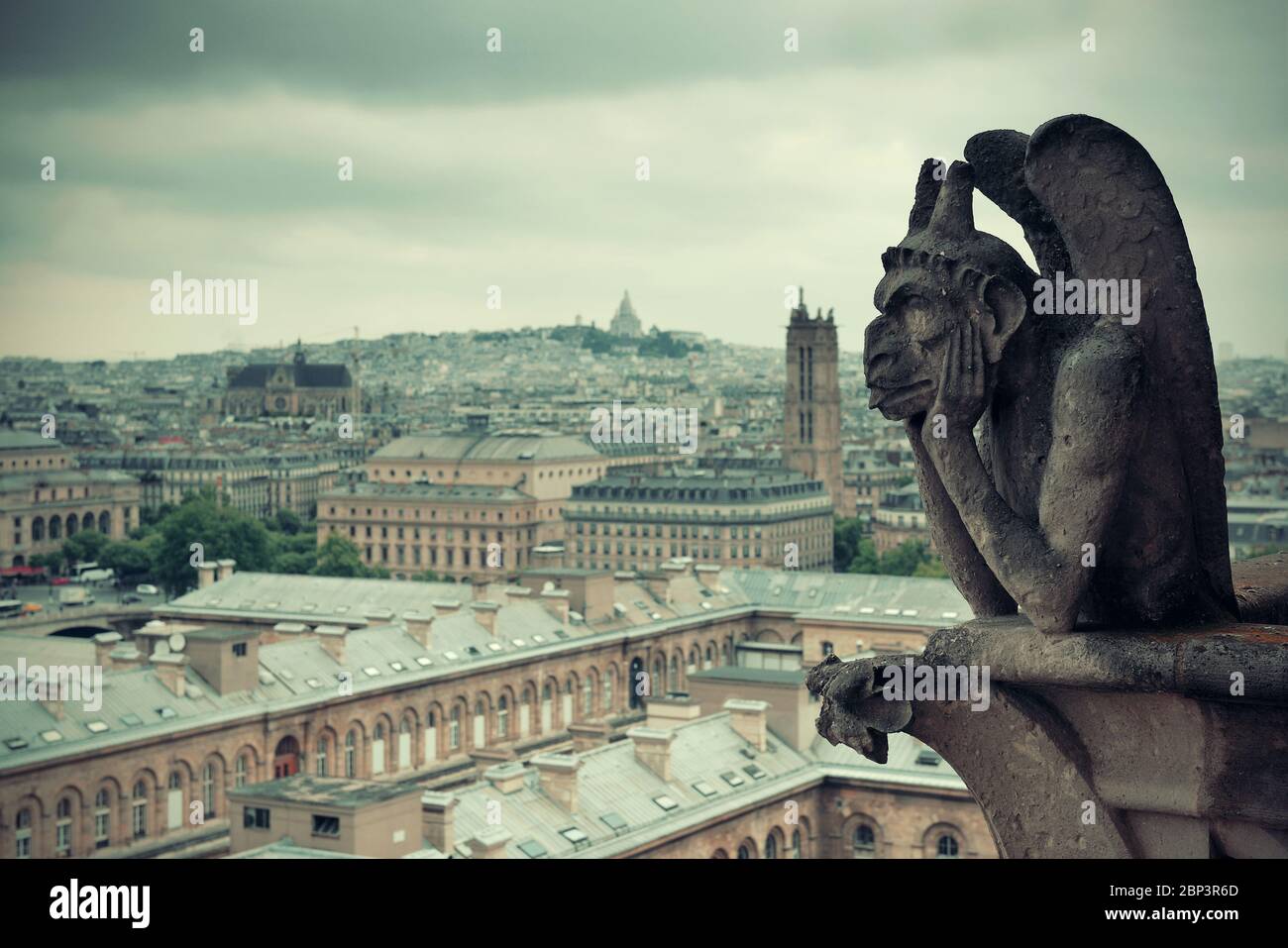 Paris rooftop view from Notre-Dame Cathedral Stock Photo - Alamy