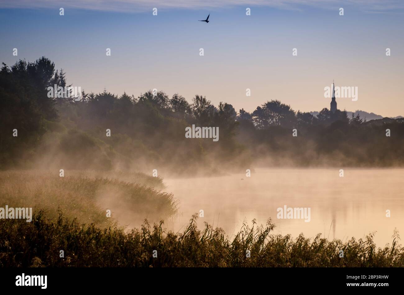 Forfar angus scotland uk hi-res stock photography and images - Alamy