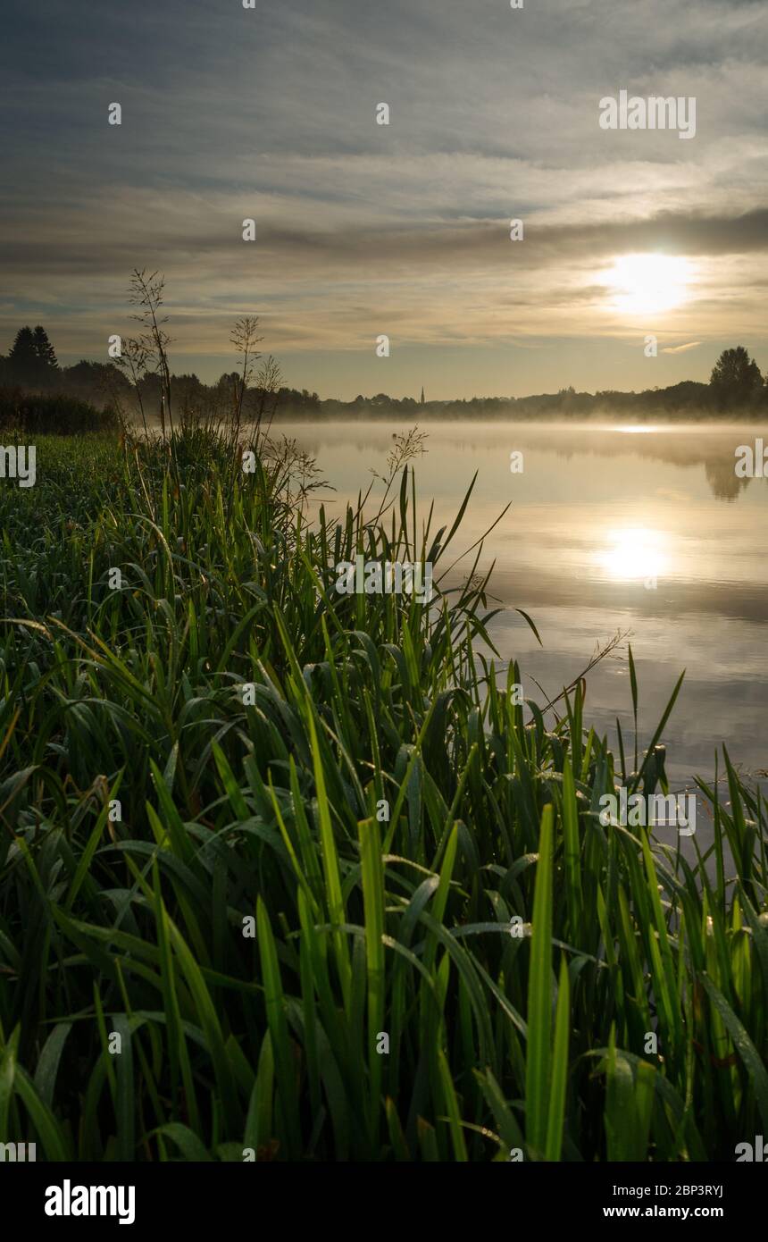 Early morning sunrise at Forfar Loch, Angus Scotland Stock Photo - Alamy
