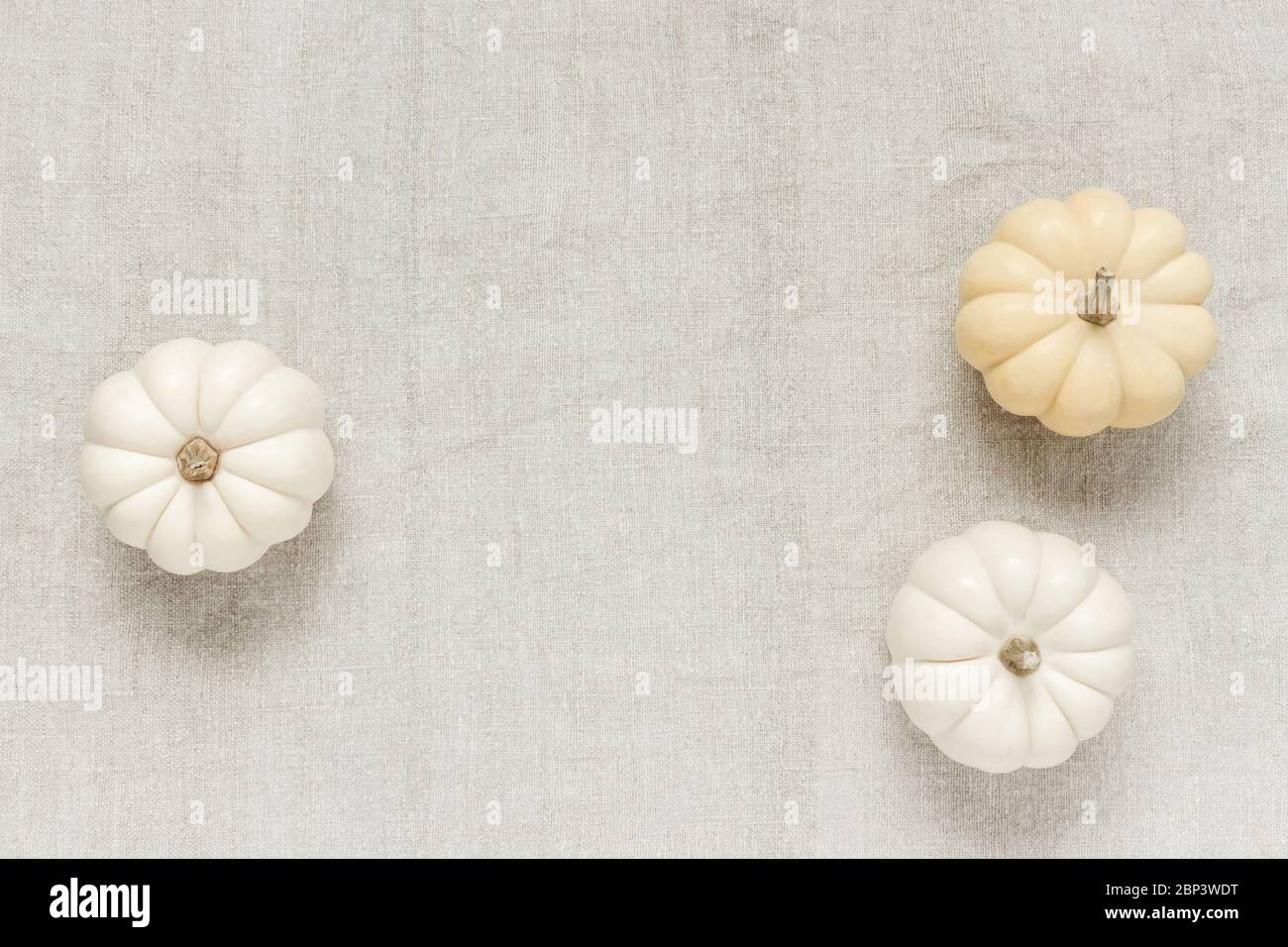 White Baby Boo pumpkins on canvas background, with copy space Stock ...