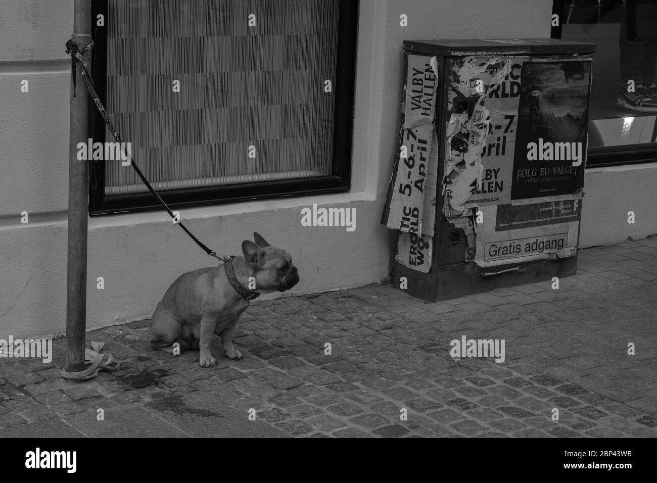 Red white green blue Black and White Stock Photos & Images - Alamy