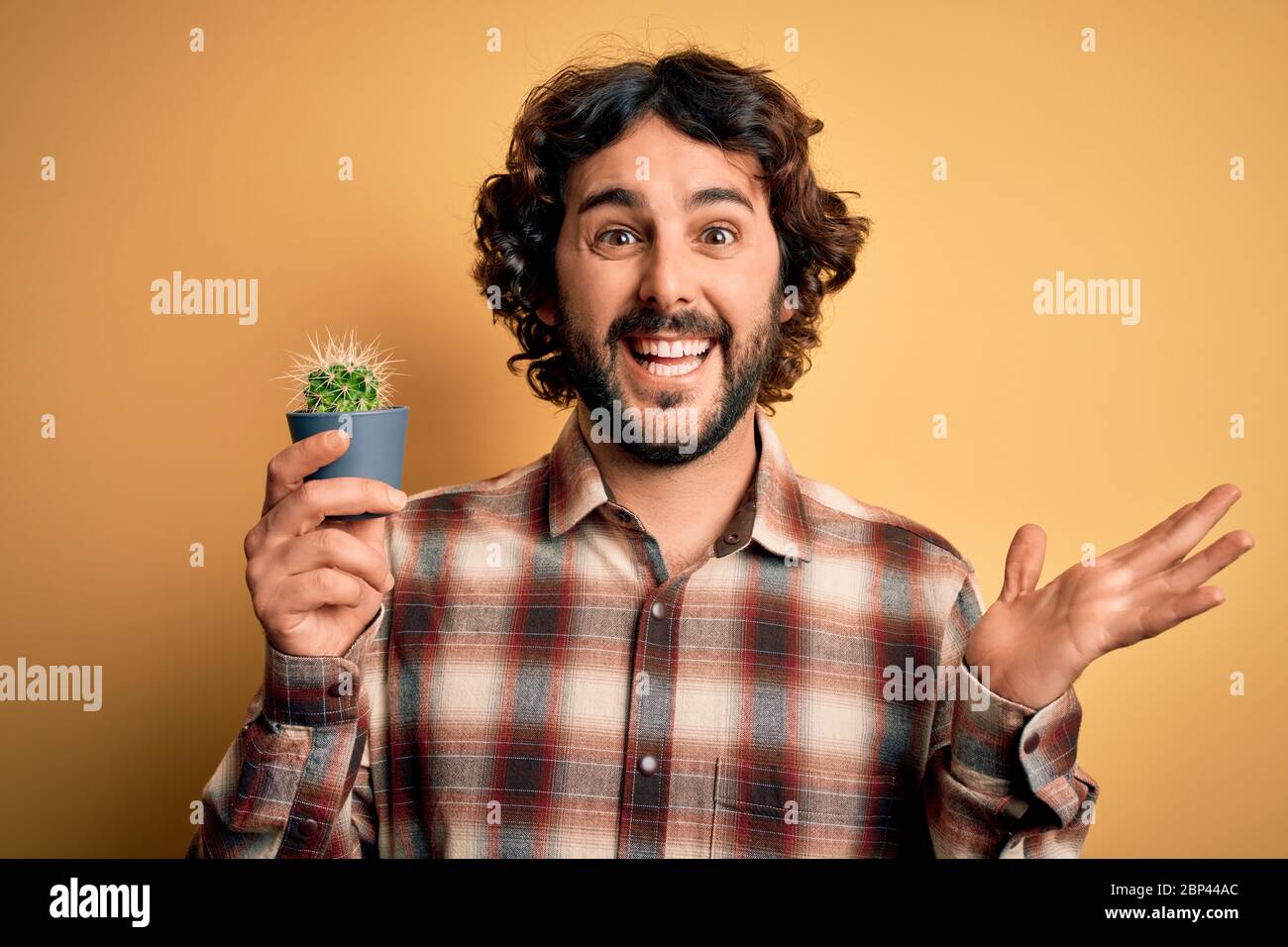 Young man with curly hair and beard holding small cactus plant pot over ...