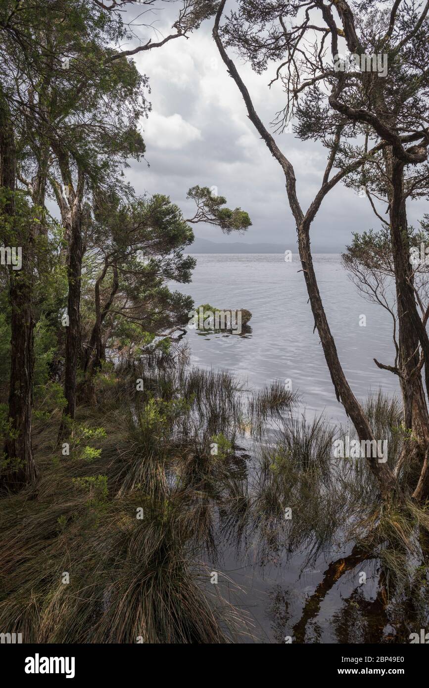 Sarah Island in Macquarie Harbour is the site of Tasmania's oldest and ...
