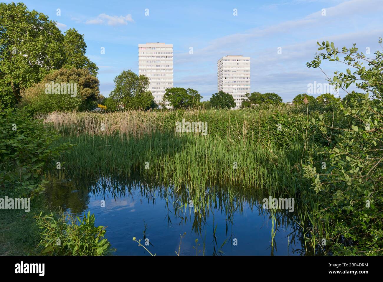 Natural england nature reserve hi-res stock photography and images - Alamy