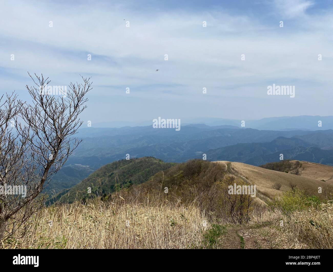 the ridge of a mountain, Shimo Hiruzen, Okayama, Japan Stock Photo - Alamy