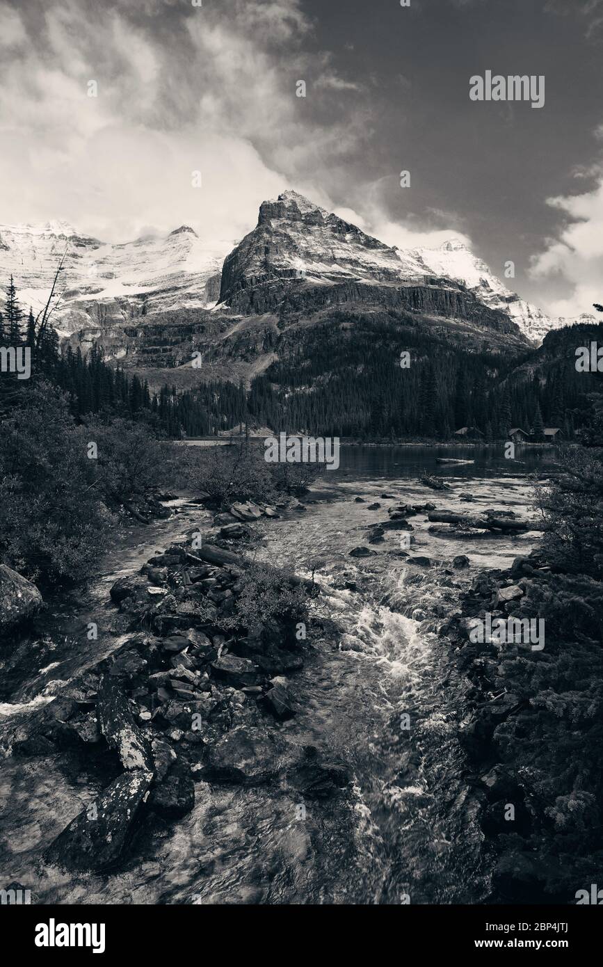 Lake O'hara, Yohu National Park, Canada Stock Photo - Alamy