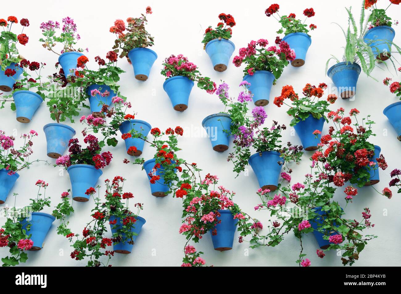 Beautiful flower decoration of the resident house in Cordoba, Spain ...