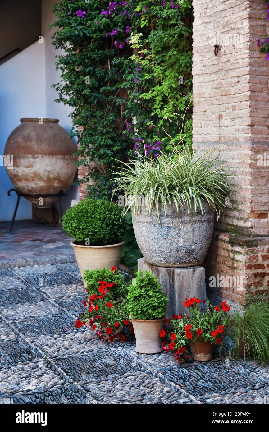 Beautiful flower decoration of the resident house in Cordoba, Spain ...