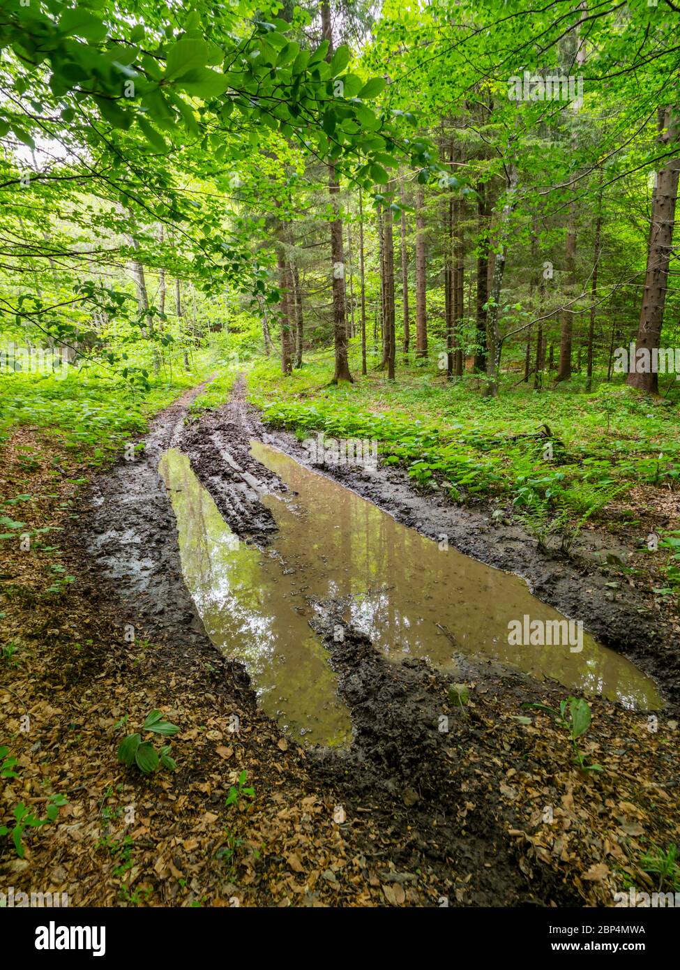 Waterlogged earth hi-res stock photography and images - Alamy