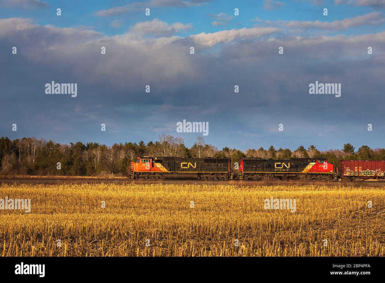 Cn train hi-res stock photography and images - Alamy