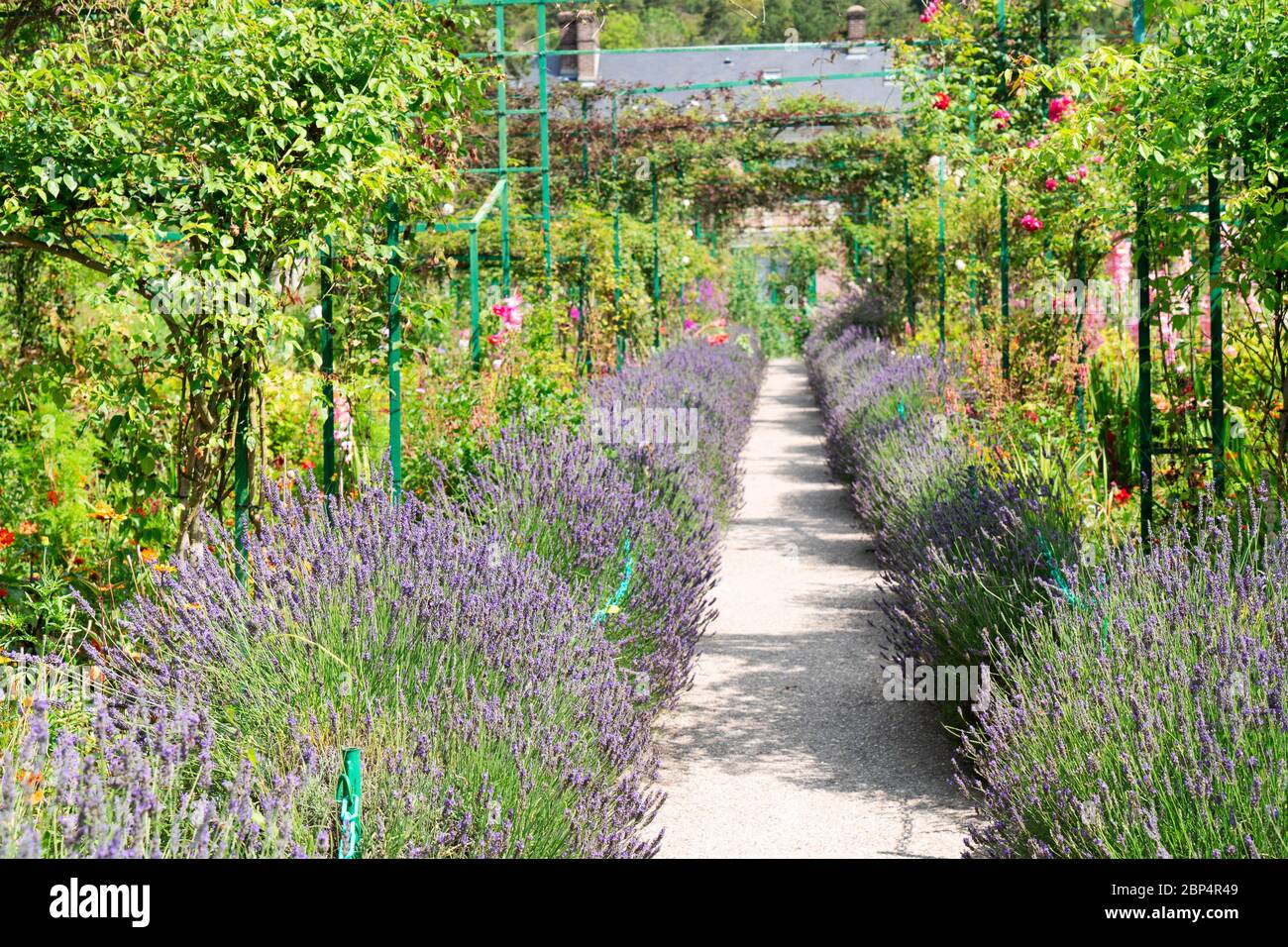 Gverny green garden gallery Stock Photo - Alamy