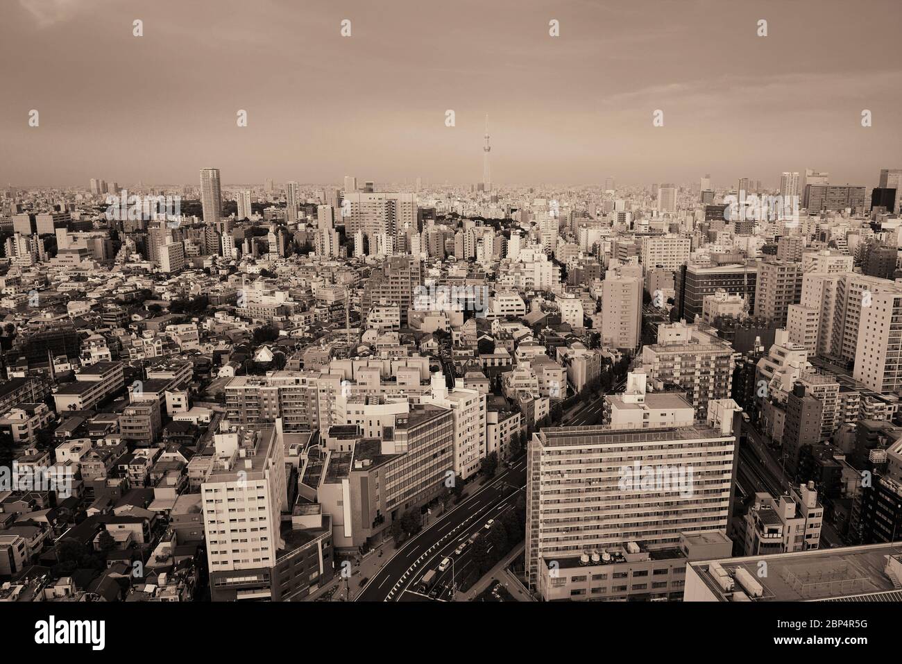 Tokyo urban skyline rooftop view skytree hi-res stock photography and ...