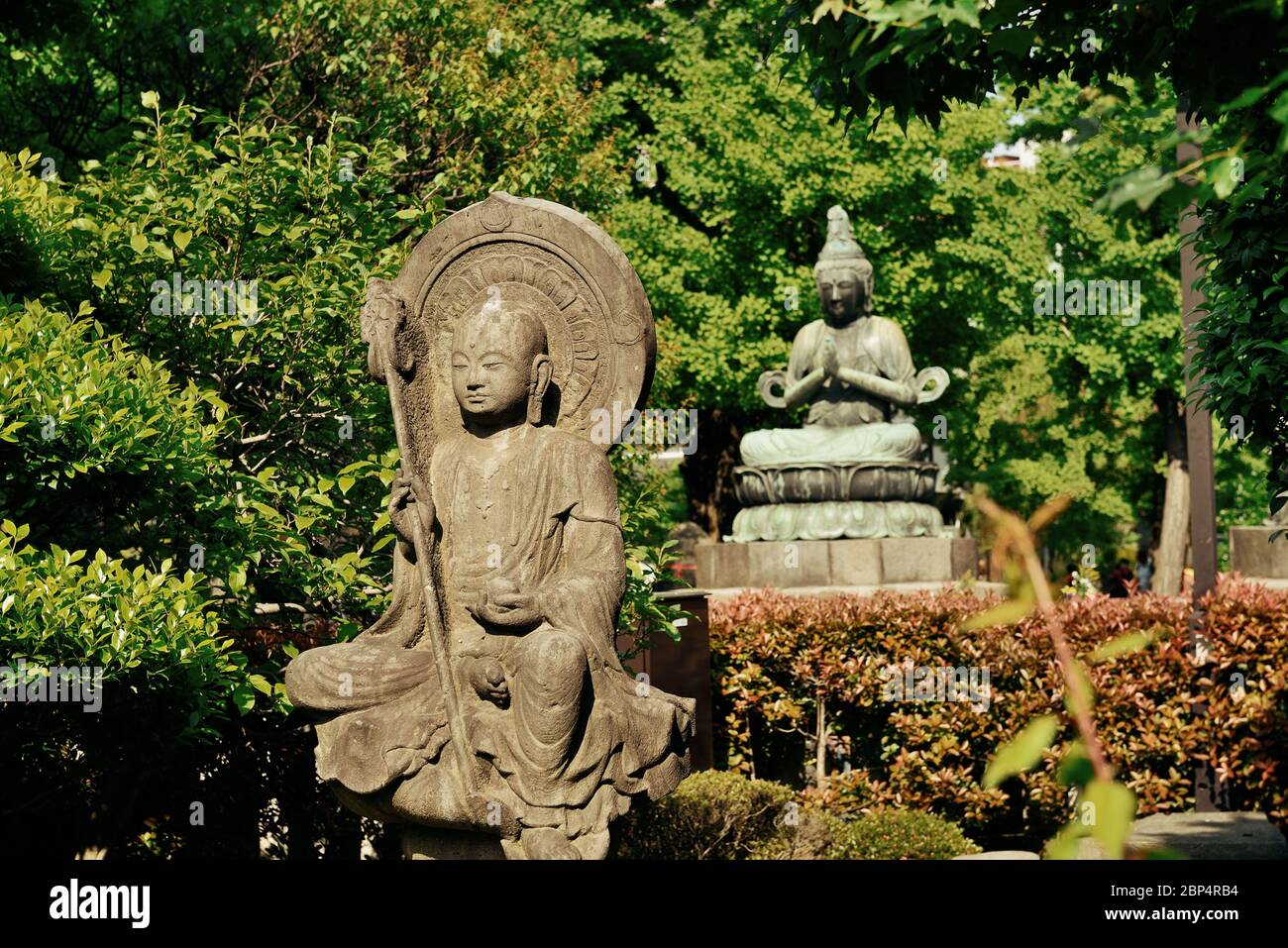 Buddha statue in Sensoji Temple, Tokyo, Japan Stock Photo - Alamy