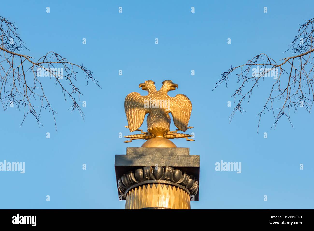 two headed eagle against blue sky and tree branches Stock Photo - Alamy