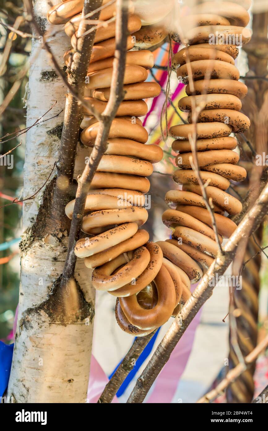 round-shaped cracknel on rope hanging on burch Stock Photo - Alamy