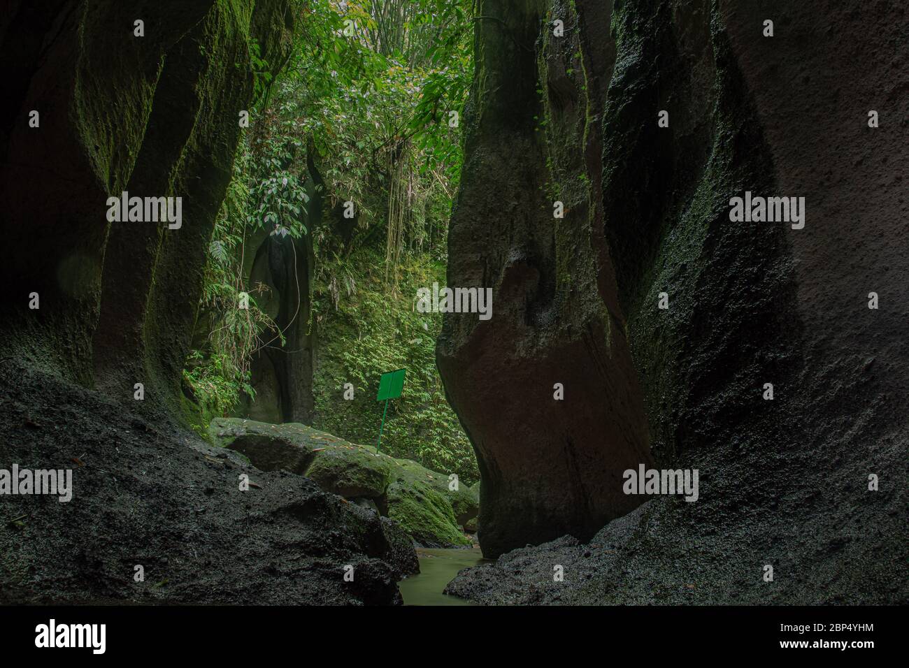 natural park in ubud, bali Stock Photo - Alamy