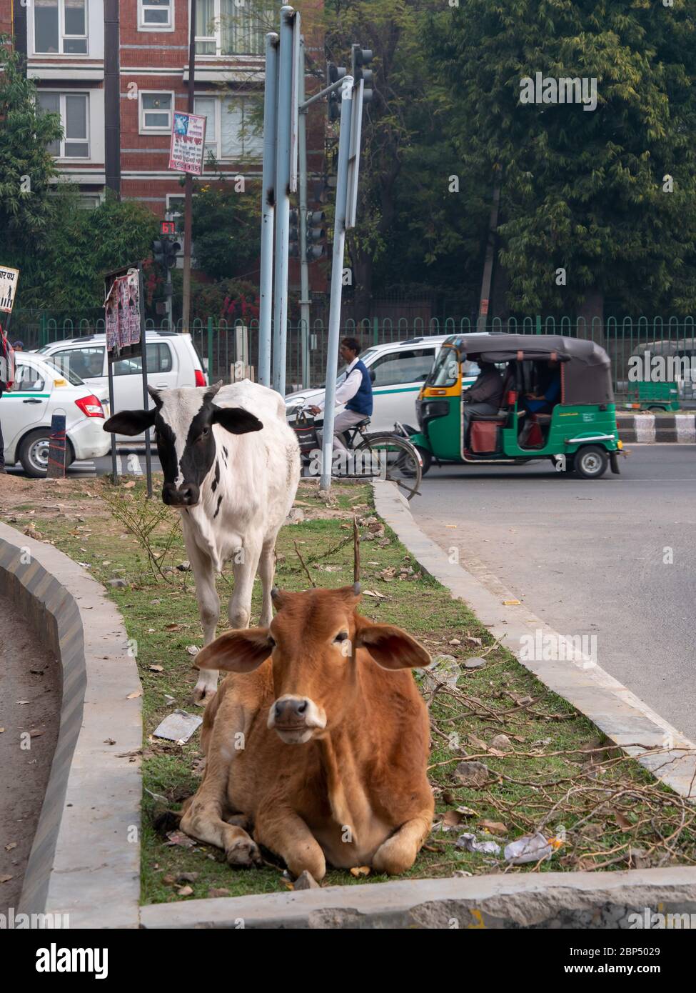 New Delhi Street High Resolution Stock Photography and Images - Alamy