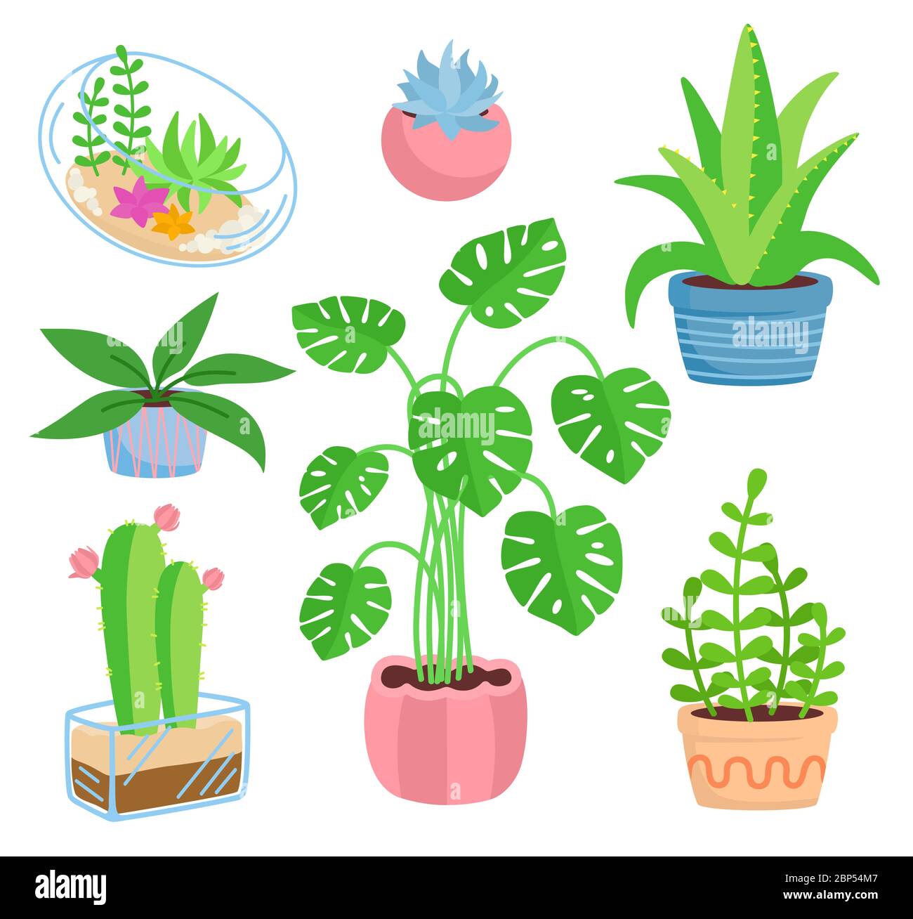 House plant potted ceramic set, flat cartoon style. Succulents and ...