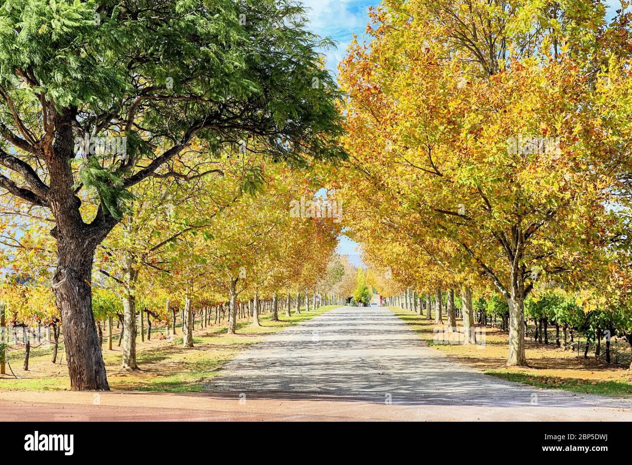 Australian world travel destination hi-res stock photography and images ...