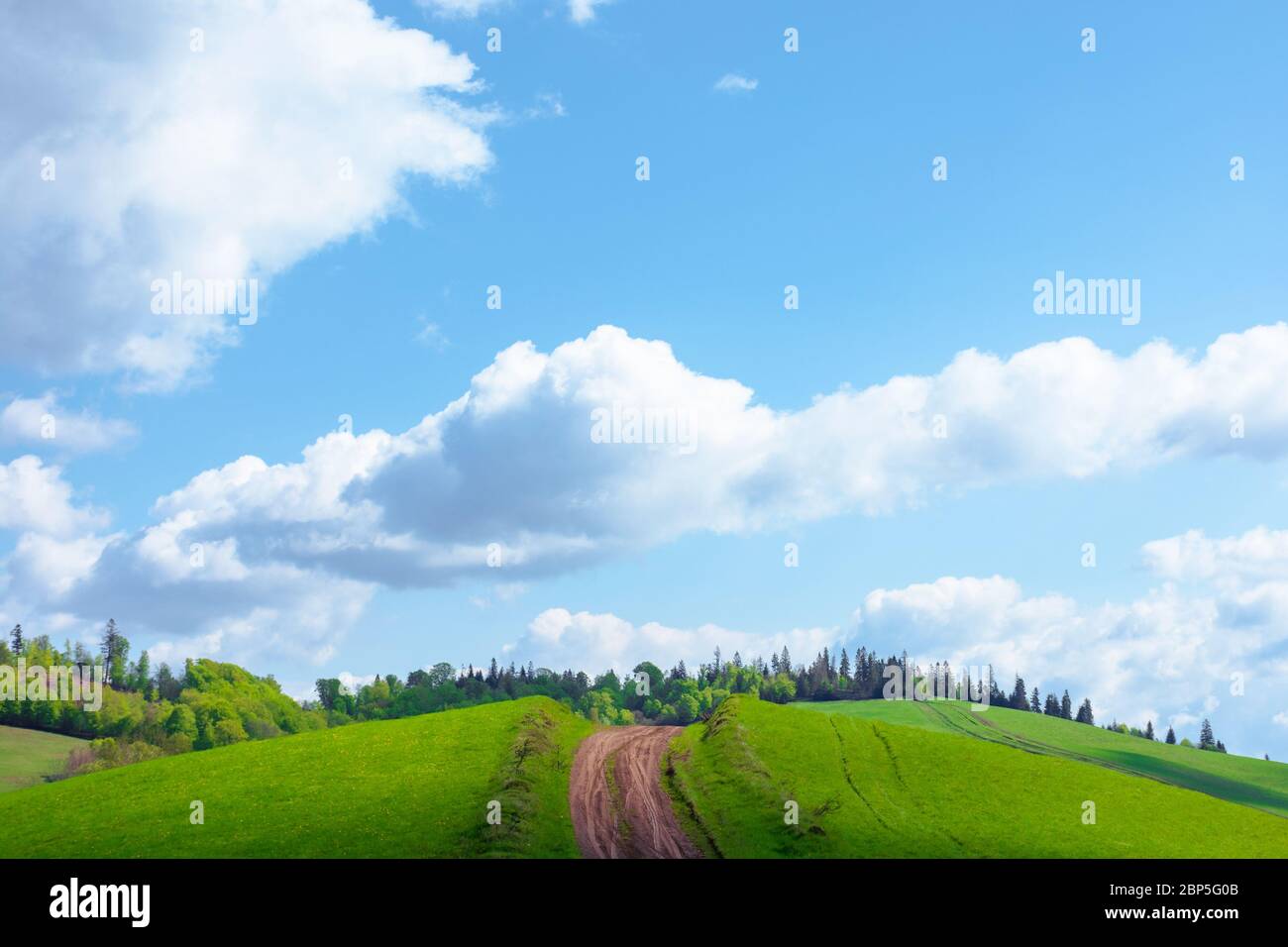 beautiful nature mountain scenery. path through forest on grassy hills ...