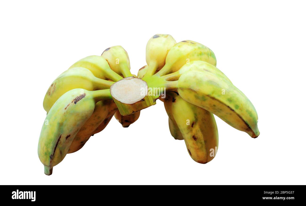 Banana of back on isolated background Stock Photo - Alamy