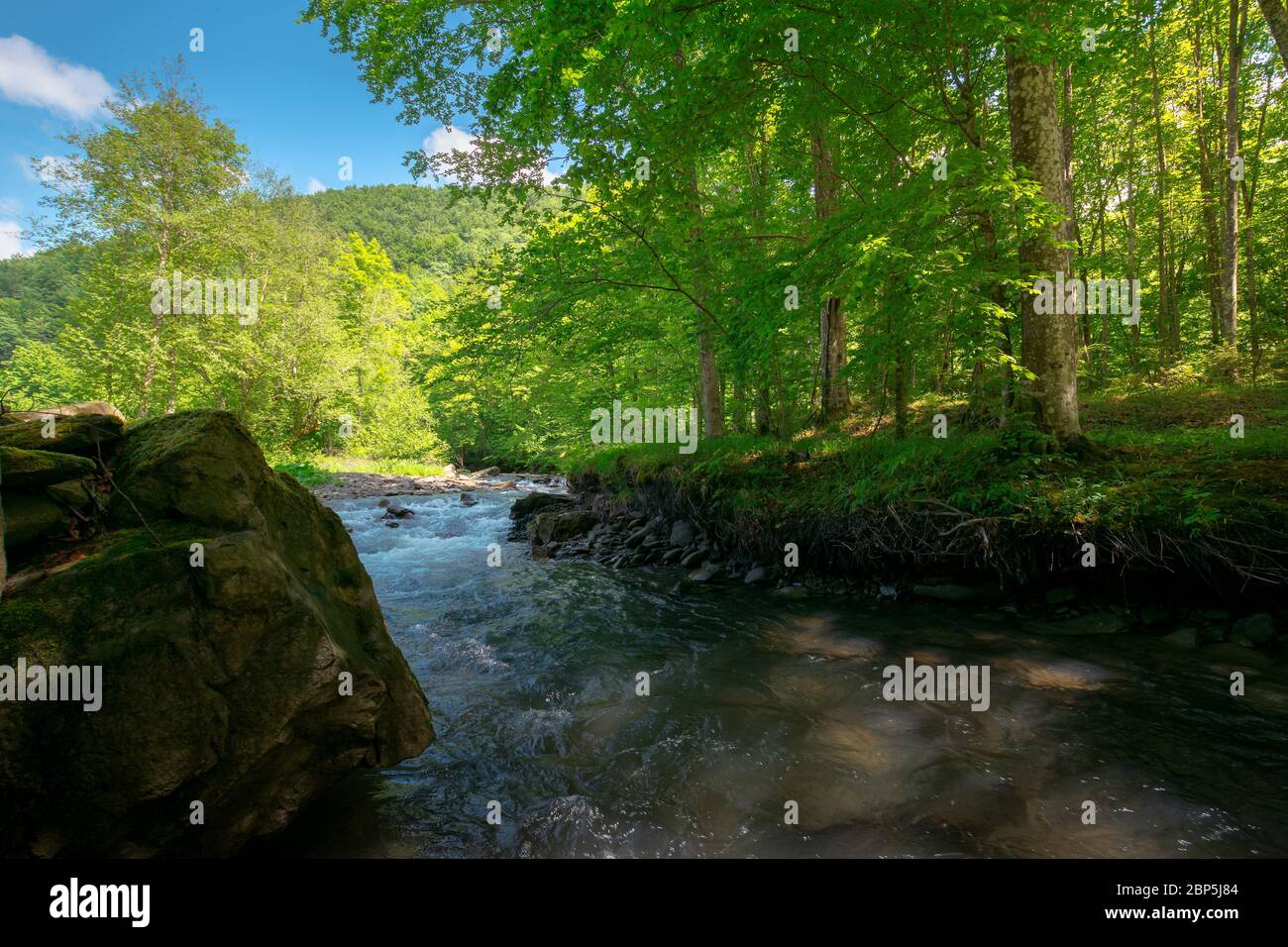 stream in the forest. beautiful nature background. peaceful scenery ...