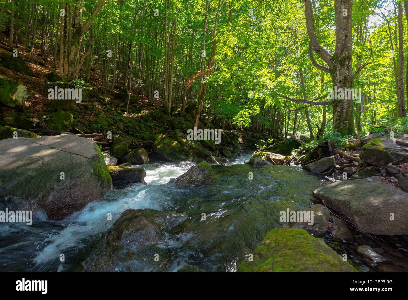 stream in the forest. beautiful nature background. peaceful scenery ...