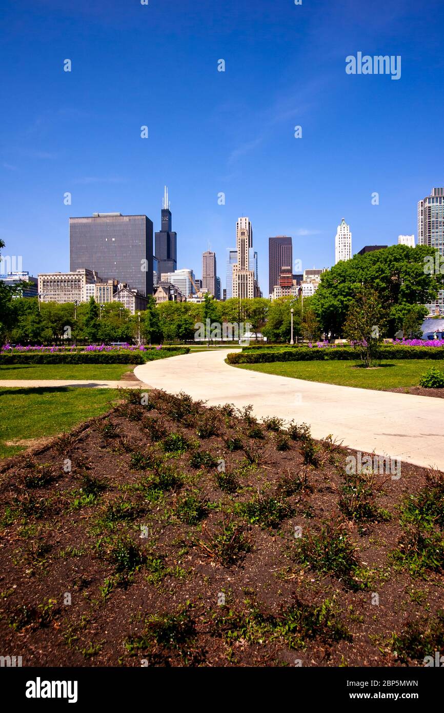 Chicago skyline featuring the Willis tower formally the Sears Tower one ...