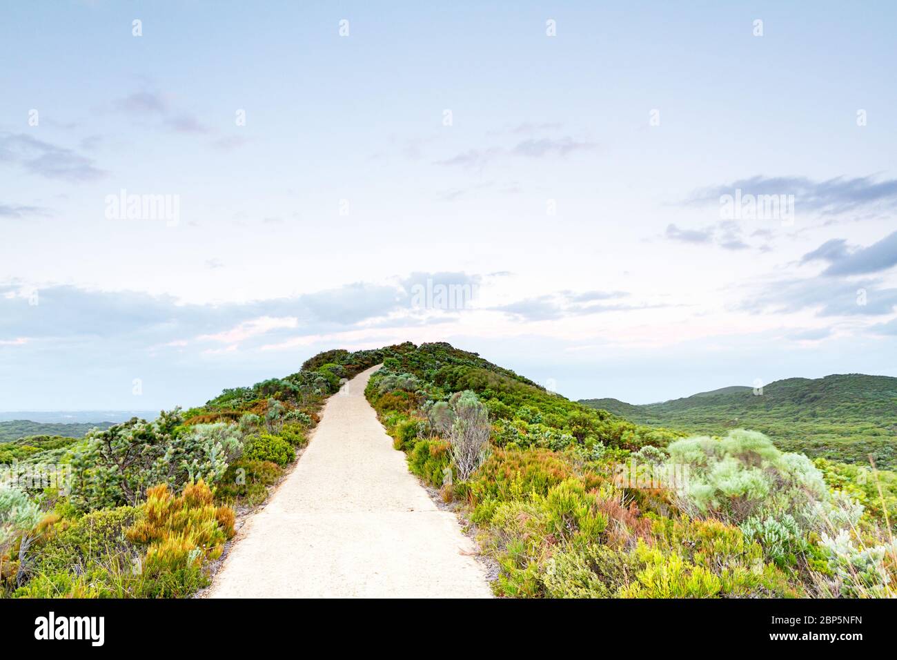 Australian bush landscape hi-res stock photography and images - Alamy