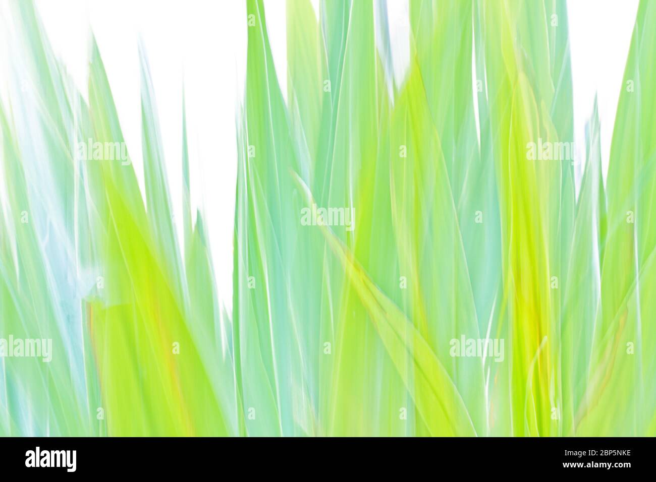 Abstract background image of green grass Stock Photo - Alamy
