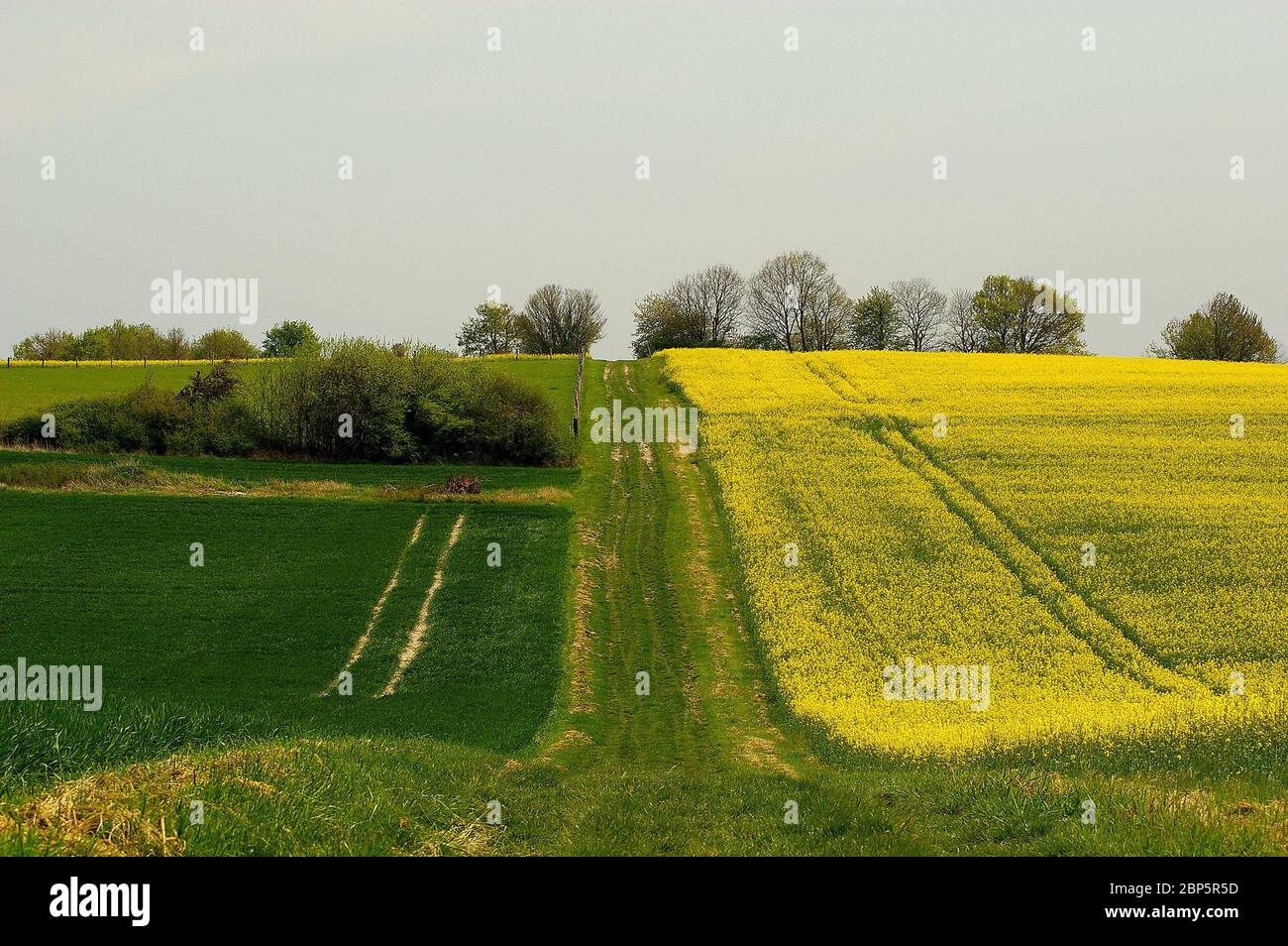 Farm track up the hill in the Indre region of France Stock Photo - Alamy